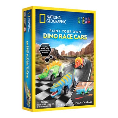 National Geographic™ Paint Your Own Dino Race Cars Kit | Michaels