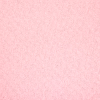 Buy in Bulk - 10 yd. Full Bolt: Feldman Light Pink Cotton Flannel ...