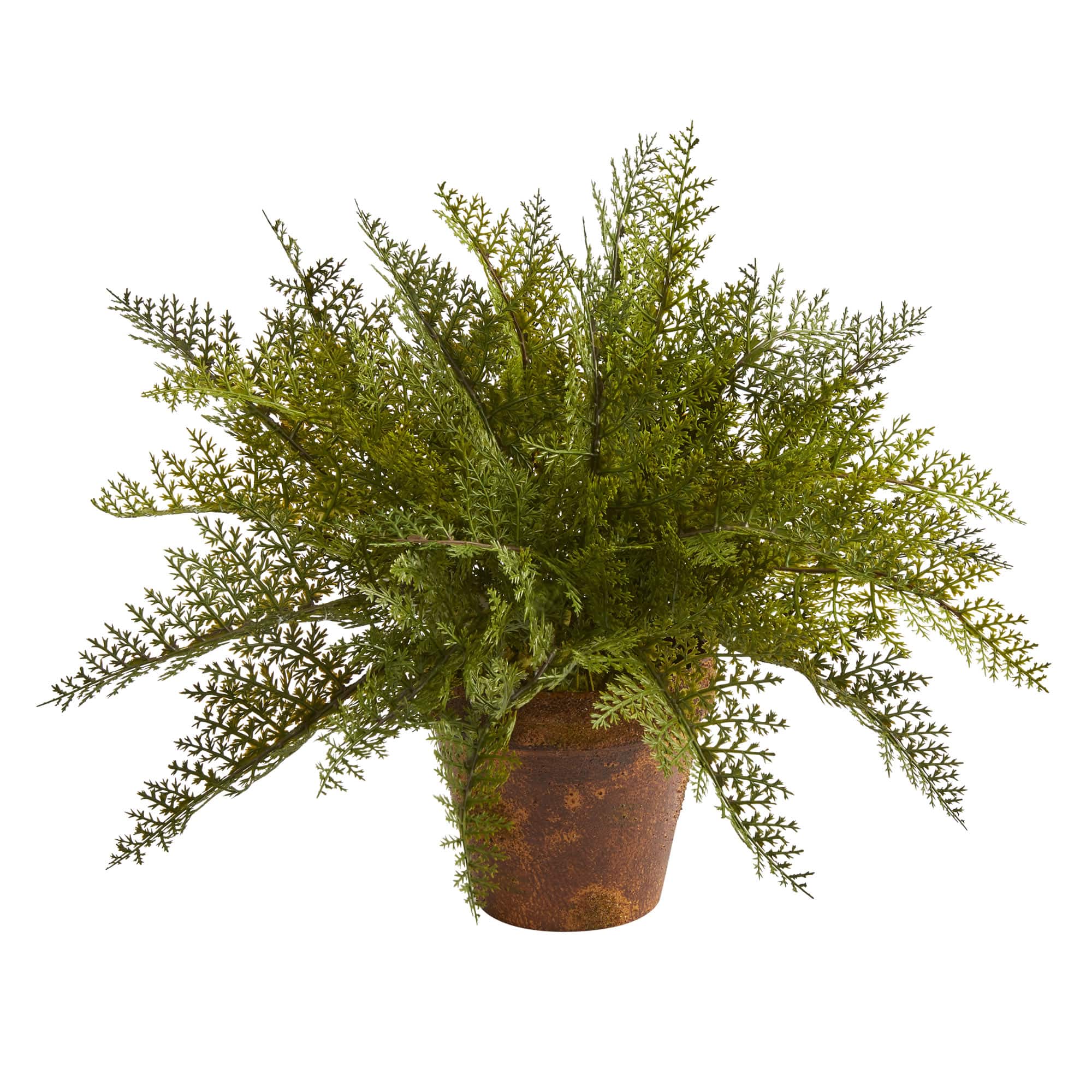 12" Maidenhair Fern in Decorative Planter | Michaels