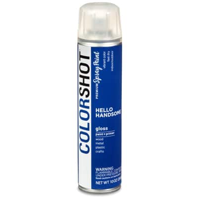 COLORSHOT® Premium Gloss Spray Paint | Michaels