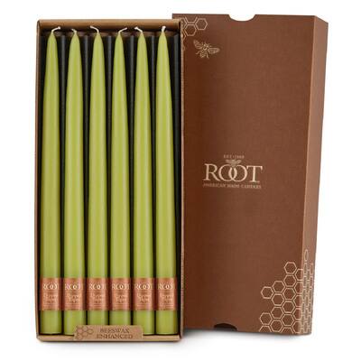 Root Candles 12" Unscented Taper Candles, 12ct., Color: Willow | Michaels