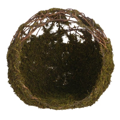 7" Green Moss Ball Grapevine Form by Ashland® | Michaels