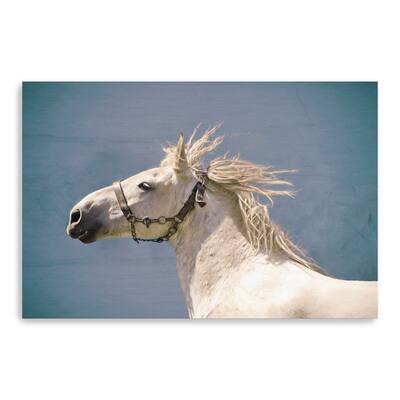 Scratch Canvas Giclee | Michaels