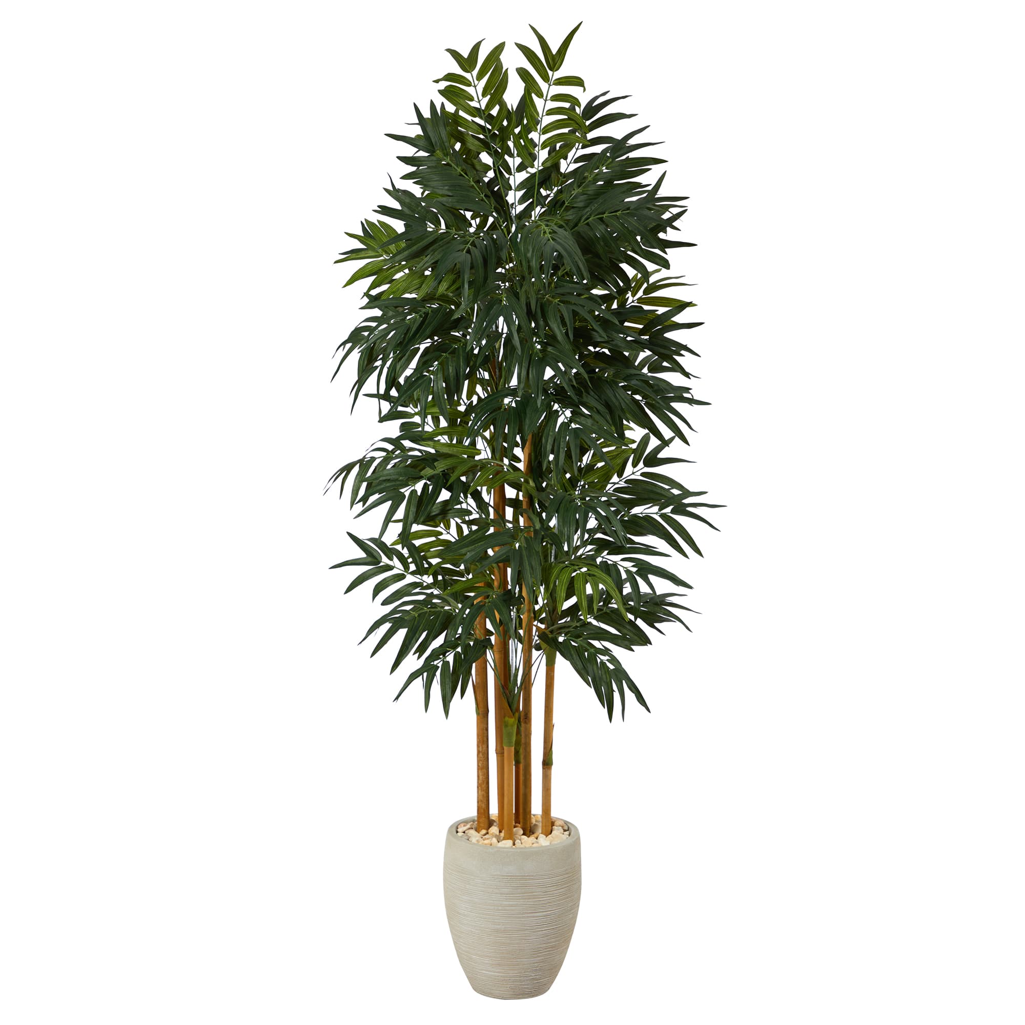 6ft. Phoenix Palm Tree in White Planter with Stand | Michaels