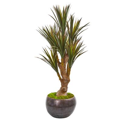 4ft. Yucca Tree in Decorative Planter | Michaels