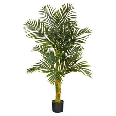 5ft. Potted Golden Cane Palm Tree | Michaels