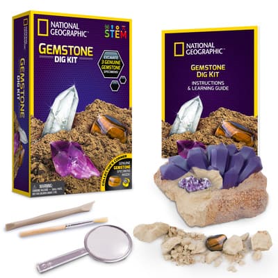National Geographic™ Gemstone Dig Kit | Michaels
