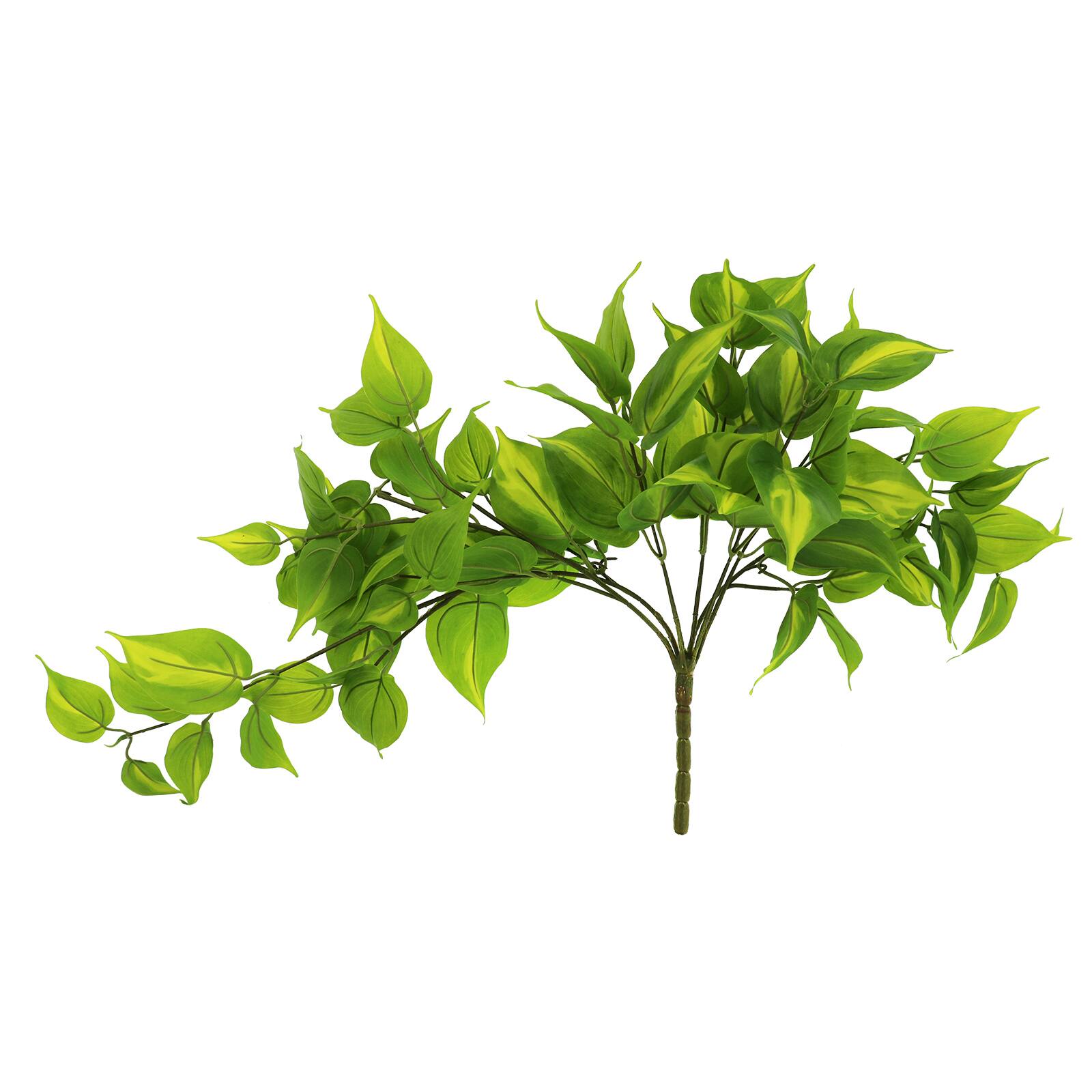 29" Light Green Pothos Bush by Ashland® | Michaels