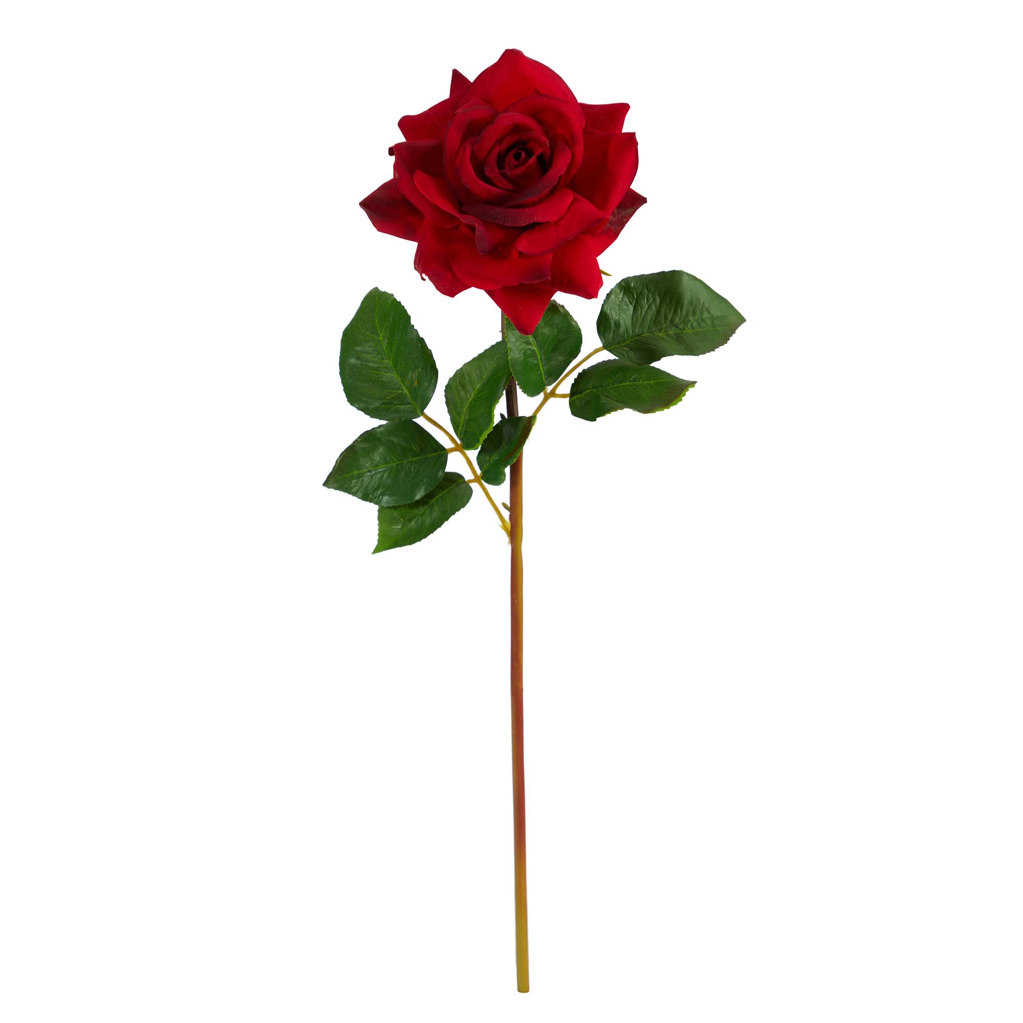 Red Rose Stem, 6ct. | Michaels
