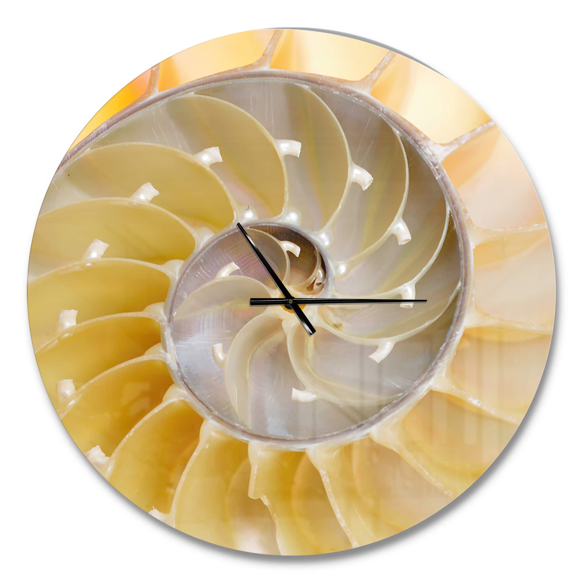 Designart Isolated Nautilus Shell Modern Wall Clock | Michaels