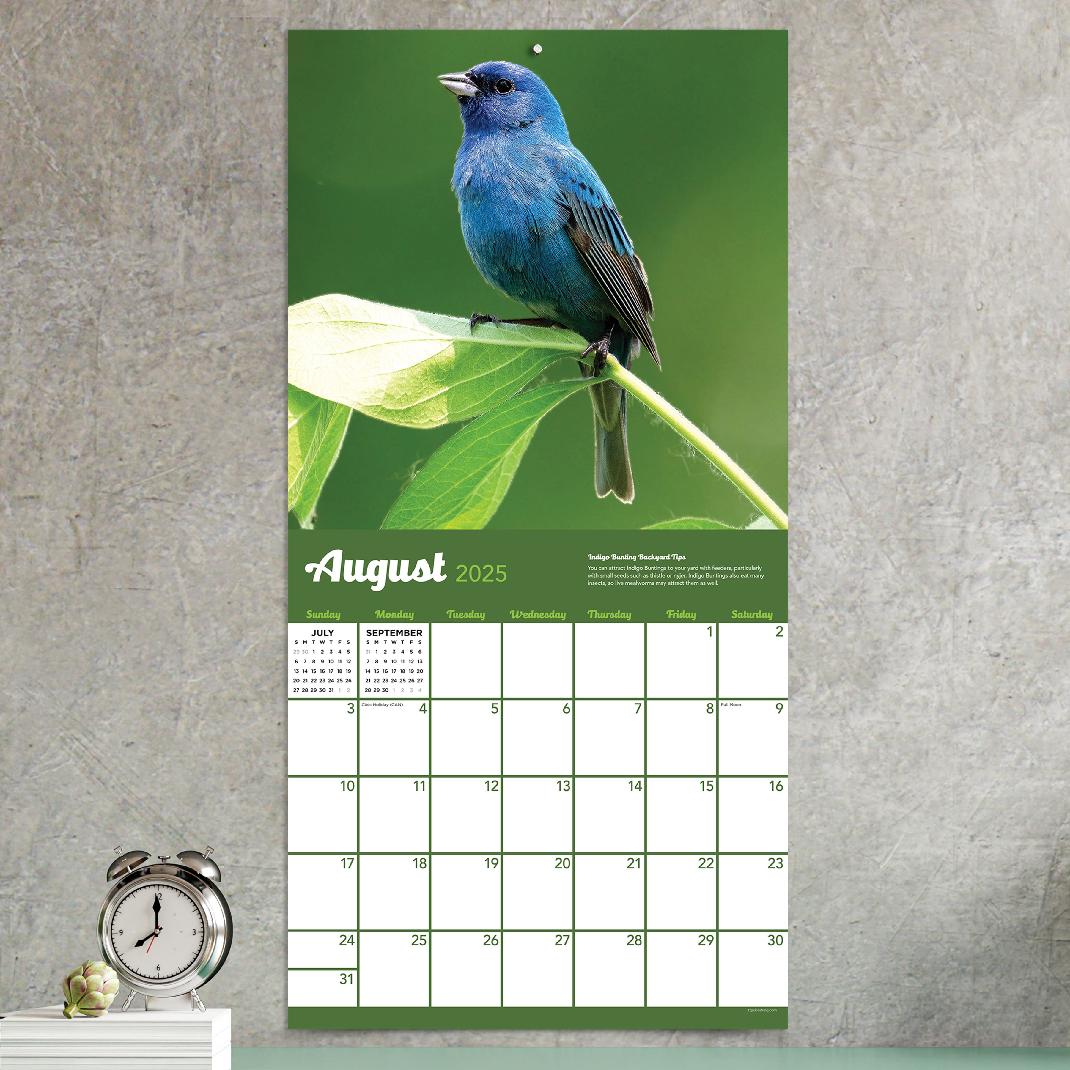 TF Publishing 2025 Backyard Birds Wall Calendar | Michaels