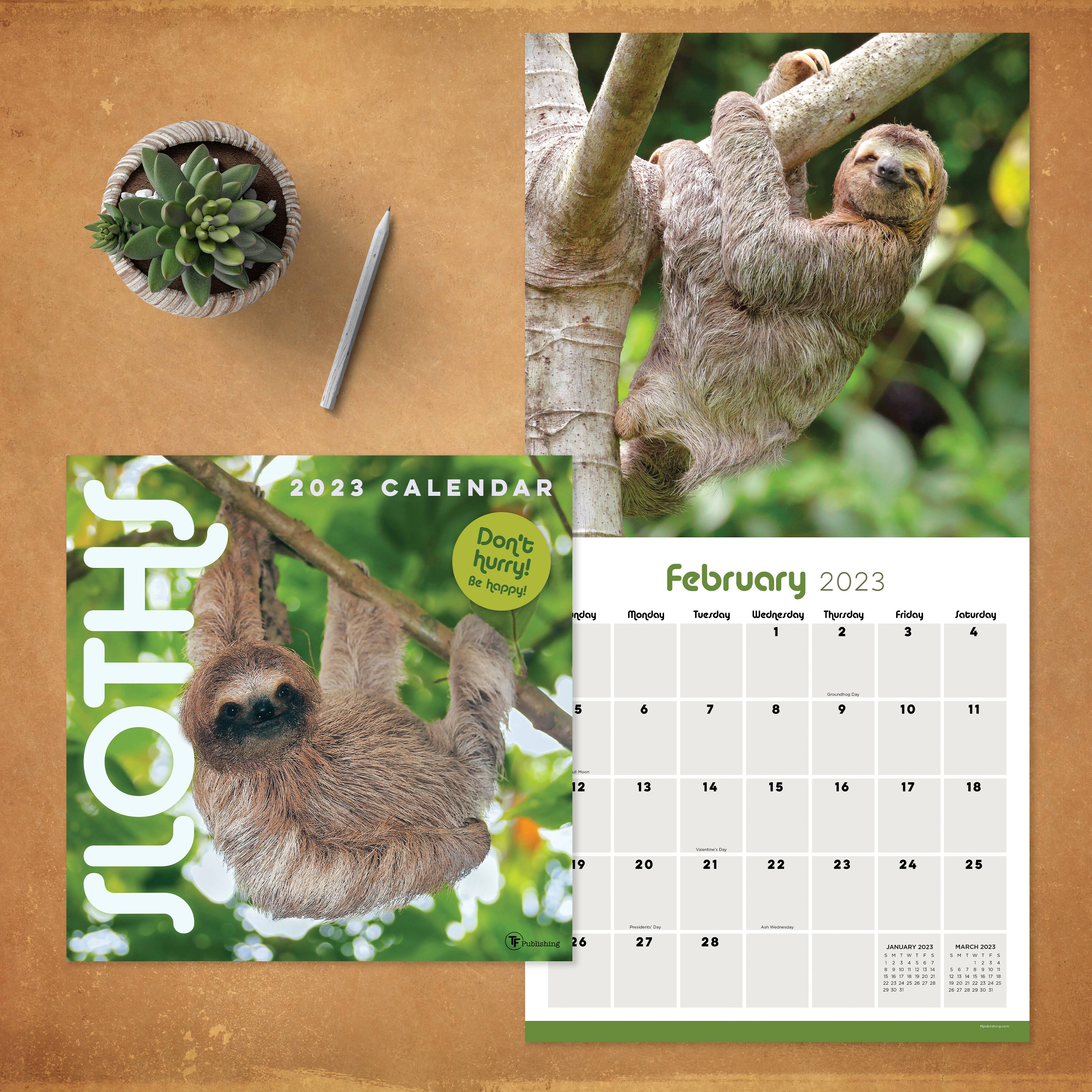 TF Publishing 2023 Sloths Wall Calendar | Wall Calendars | Michaels