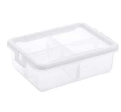 Ezy Storage Short 4-Compartment Storage Box | Michaels