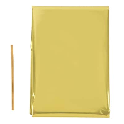 Metallic Basket Gift Bag by Celebrate It™ | Michaels