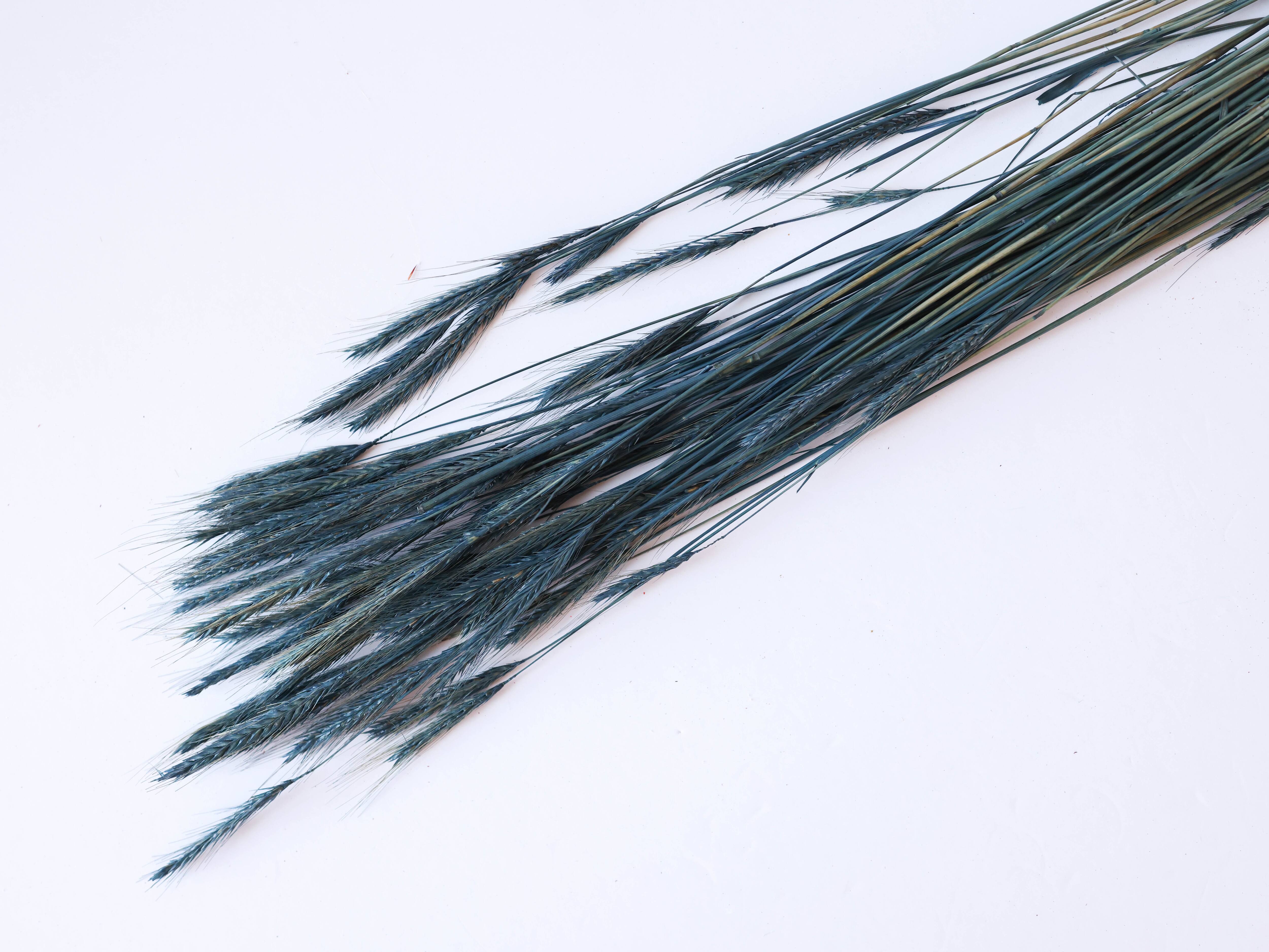 33" Dried Rye by Ashland® | Michaels