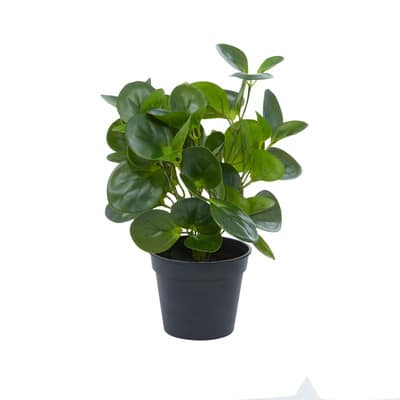 Green Plastic Traditional Artificial Foliage, 10" x 7" x 13" | Michaels