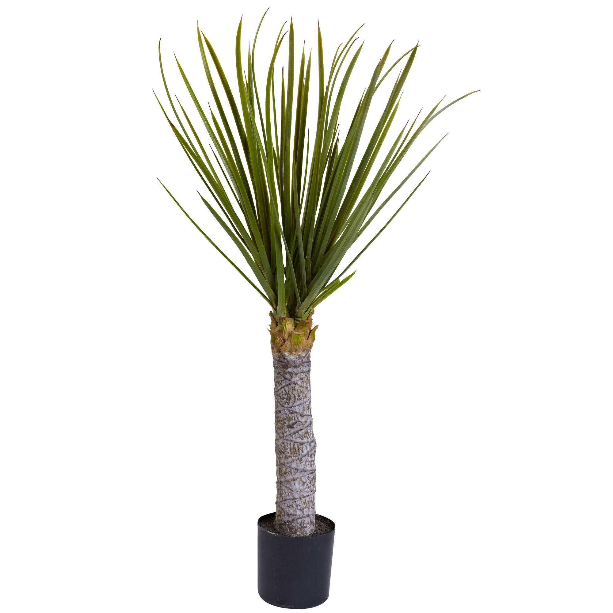 3ft. Potted Yucca Tree | Trees & Floor Plants | Michaels