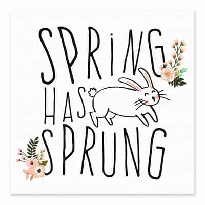 Spring Has Sprung Canvas Art | Michaels