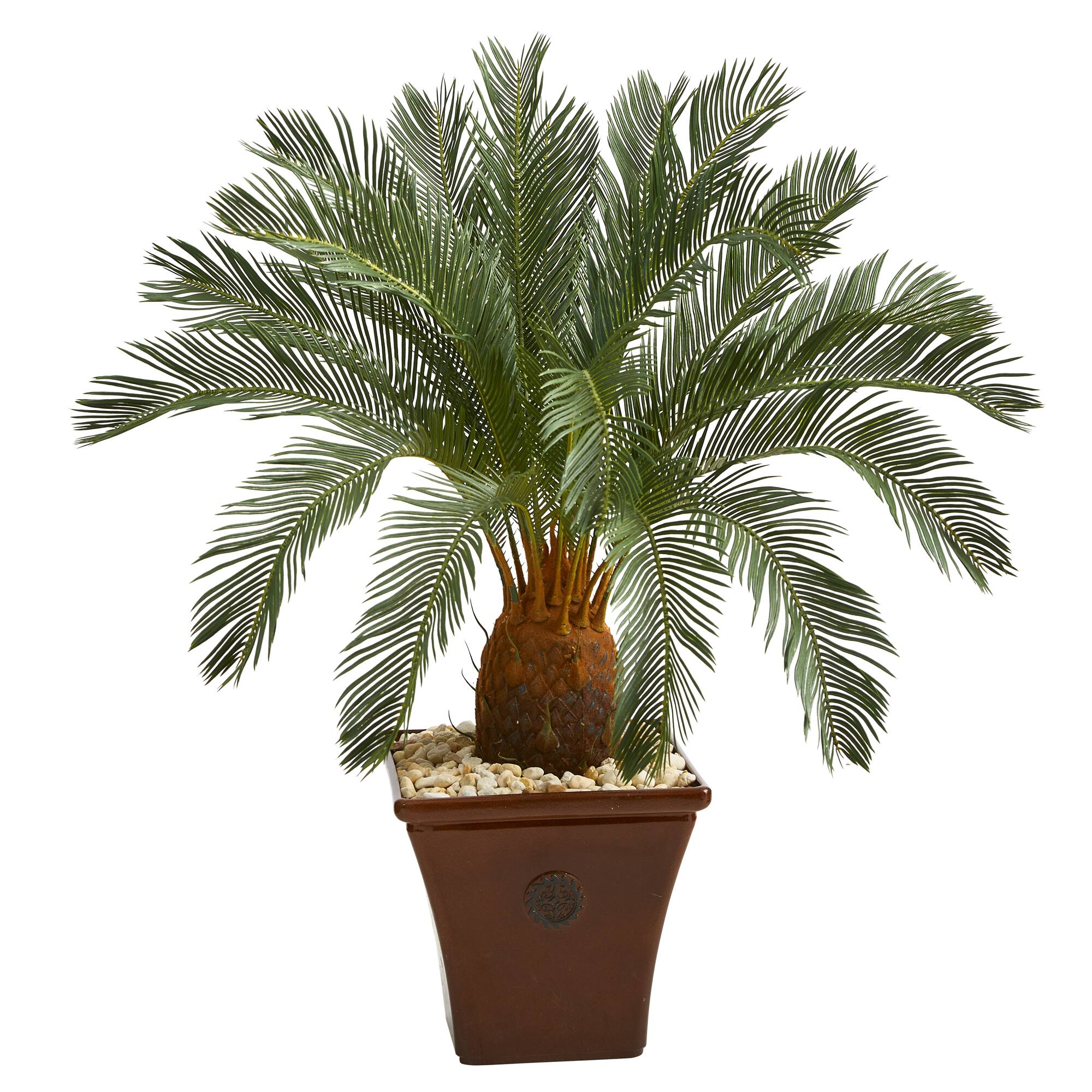 3.5ft. Cycas Tree in Brown Planter | Michaels