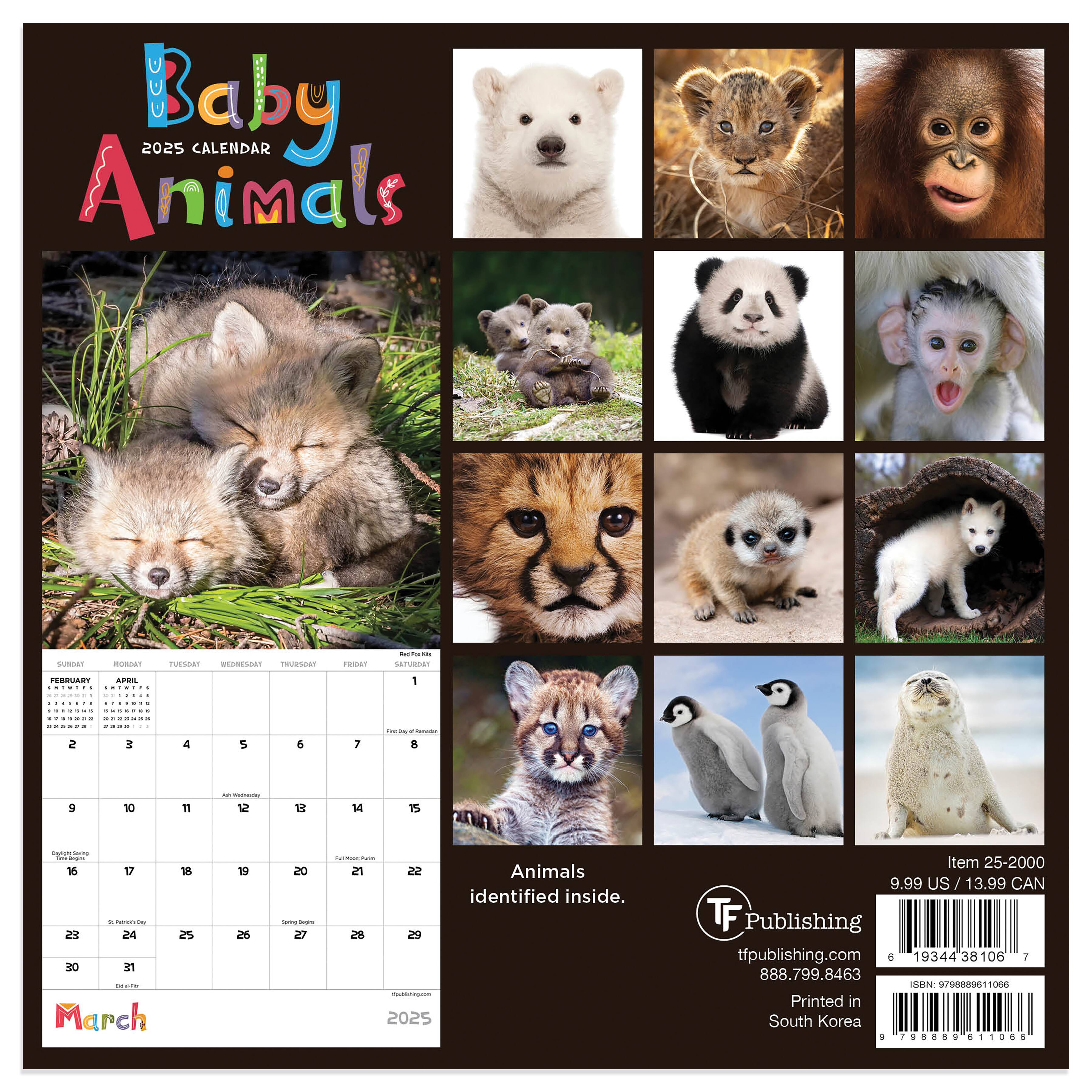 TF Publishing 2025 Baby Animals Mini Calendar | Michaels