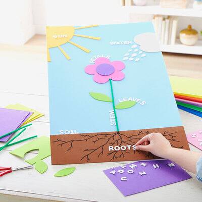 Parts of a Flower Classroom Poster | Projects | Michaels