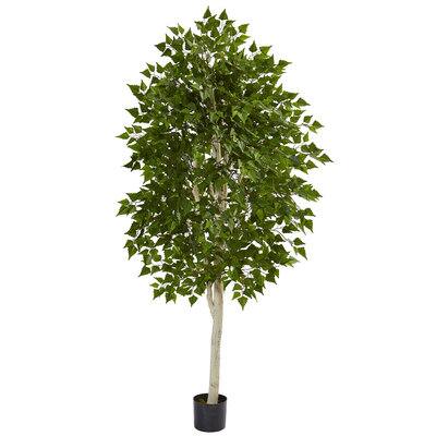 6ft. Potted Birch Tree | Michaels