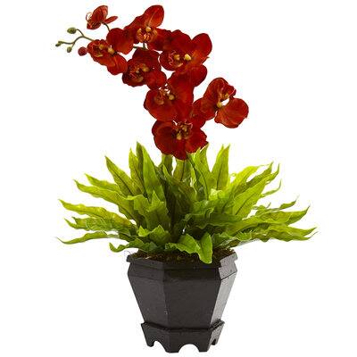20" Rust Orchid & Fern Arrangement with Wood Planter | Michaels
