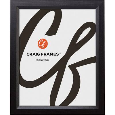 Craig Frames Economy Ebony Hardwood Picture Frame | Michaels