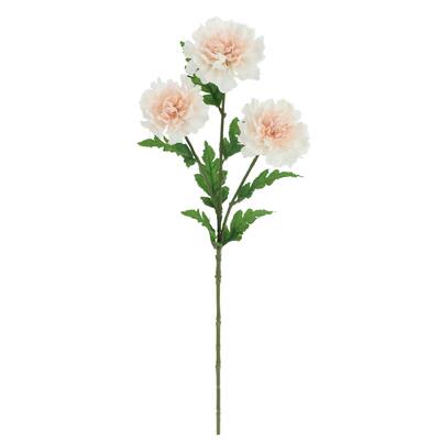 25" Light Pink Scabiosa Stem by Ashland® | Michaels
