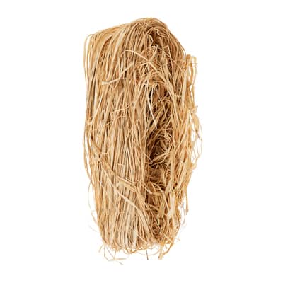Buy in Bulk - 12 Pack: Long Natural Raffia by Ashland® | Michaels