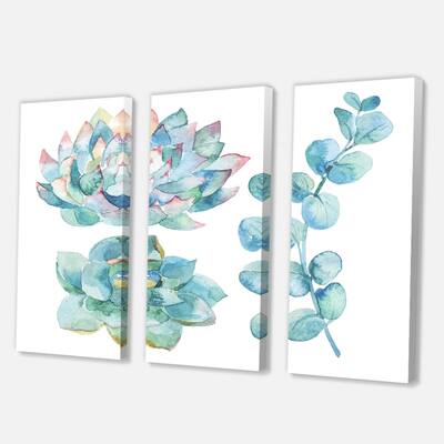 Designart - Eucalyptus Leaves and Succulents - Traditional Canvas Wall ...