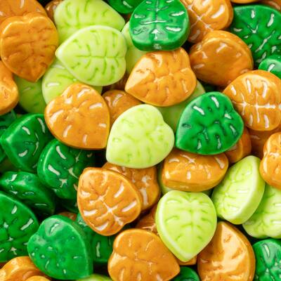 Sweet Tooth Fairy® Tropical Leaf Candy Shapes | Michaels