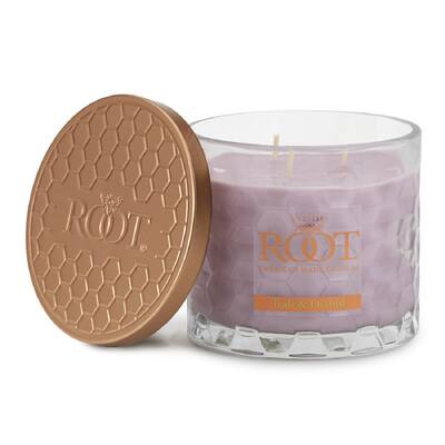 Root Candles Signature 3-Wick Honeycomb Beeswax Blend Jar Candle | Michaels