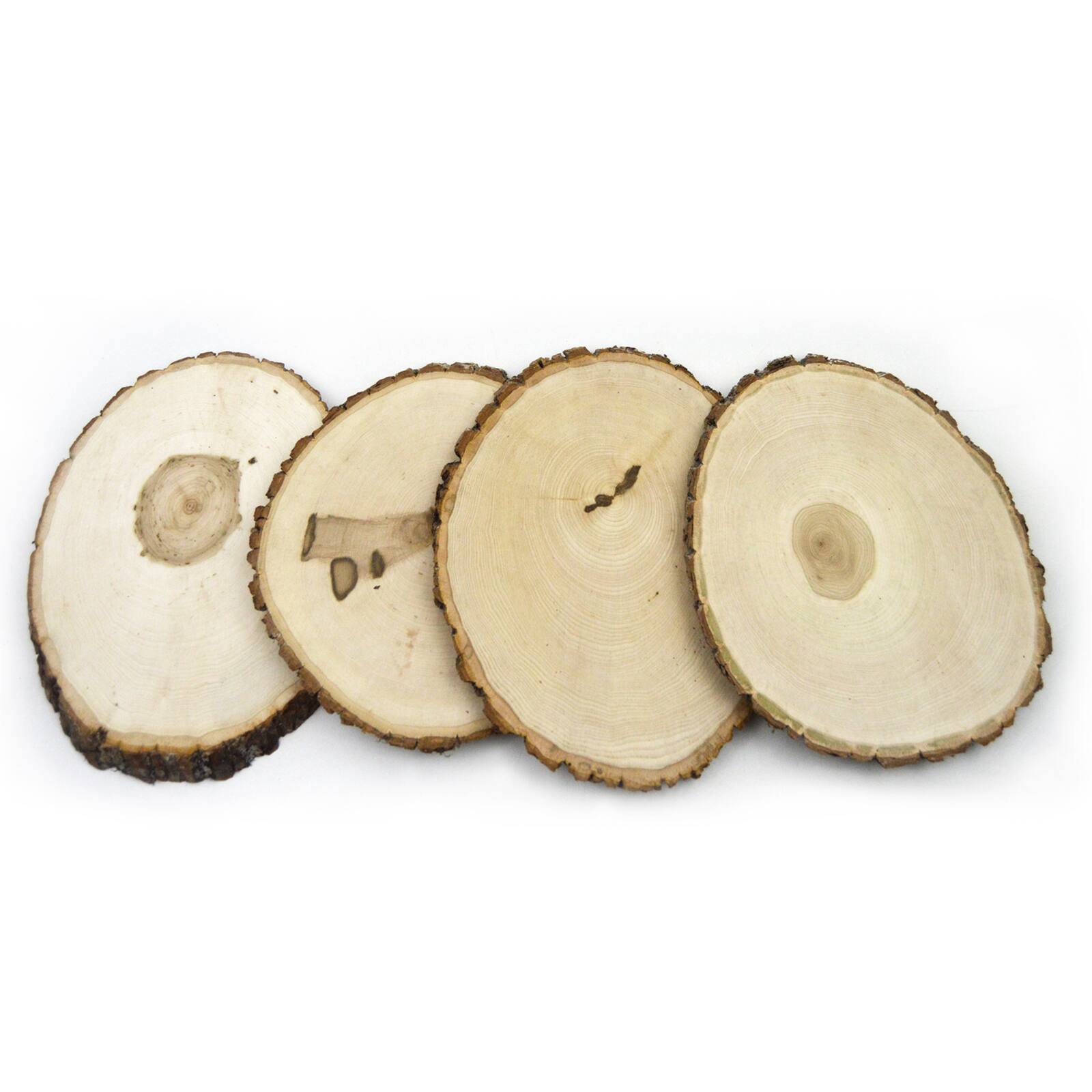 Wilson® Enterprises 10 Pack X-Large Basswood Plaque | Michaels