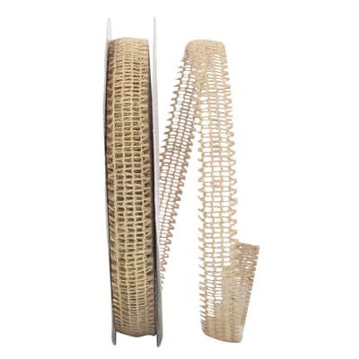 JAM Paper 7/8'' x 25yd. Mesh Jute Edge Ribbon | Michaels