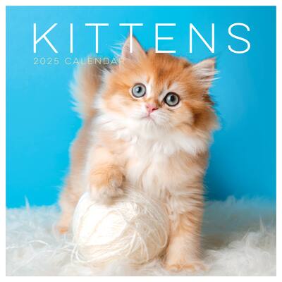 TF Publishing 2025 Kittens Wall Calendar | Michaels