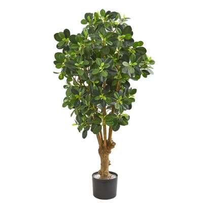 3ft. Potted Panda Ficus Tree | Michaels