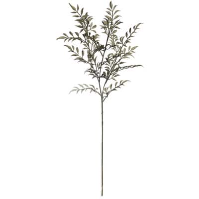 Green Sharp Fern Stem by Ashland® | Michaels