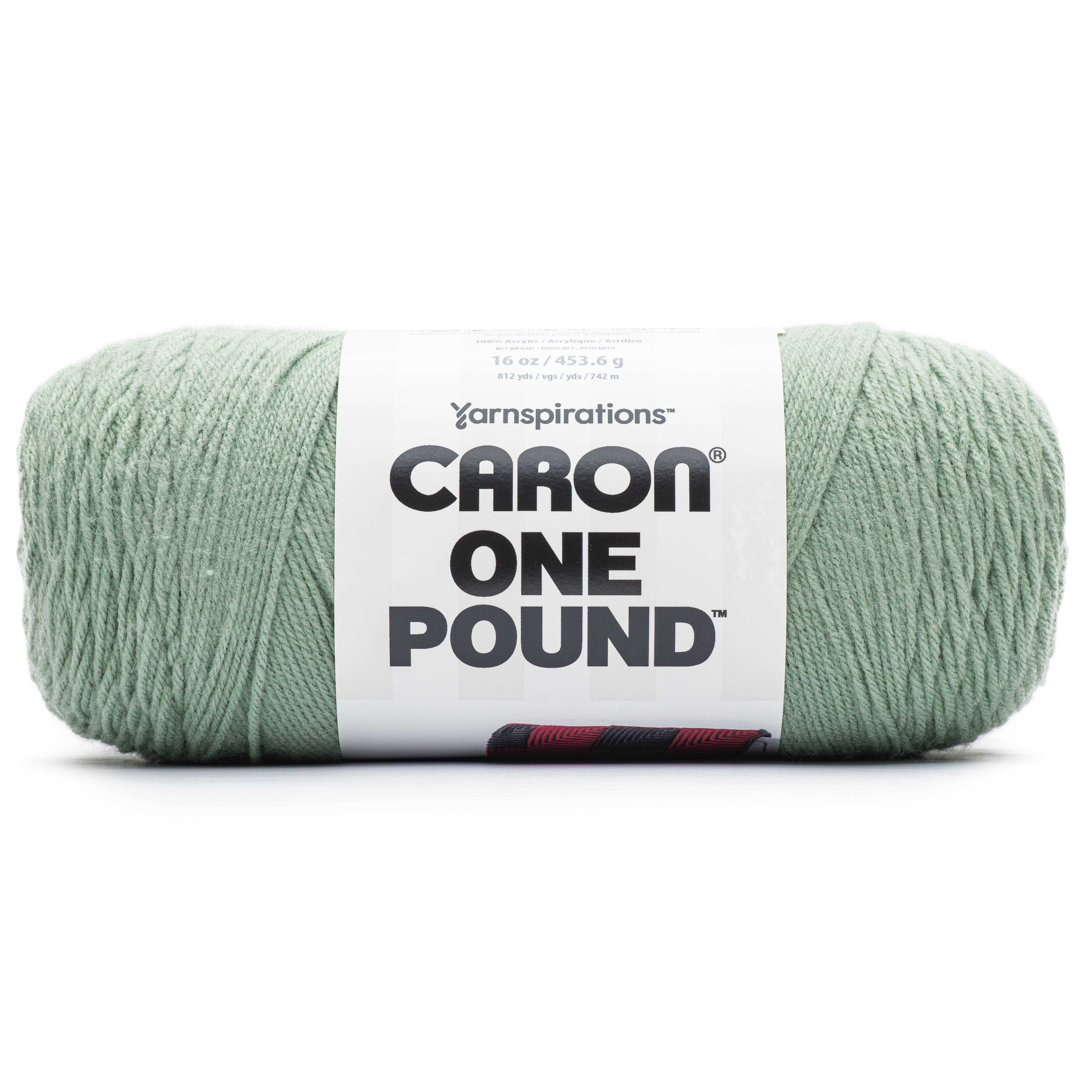 10 Pack: Caron® One Pound™ Yarn | Michaels