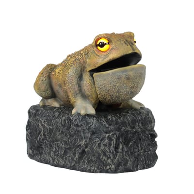 11.25" LED Animated Croaking Toad by Ashland® | Michaels