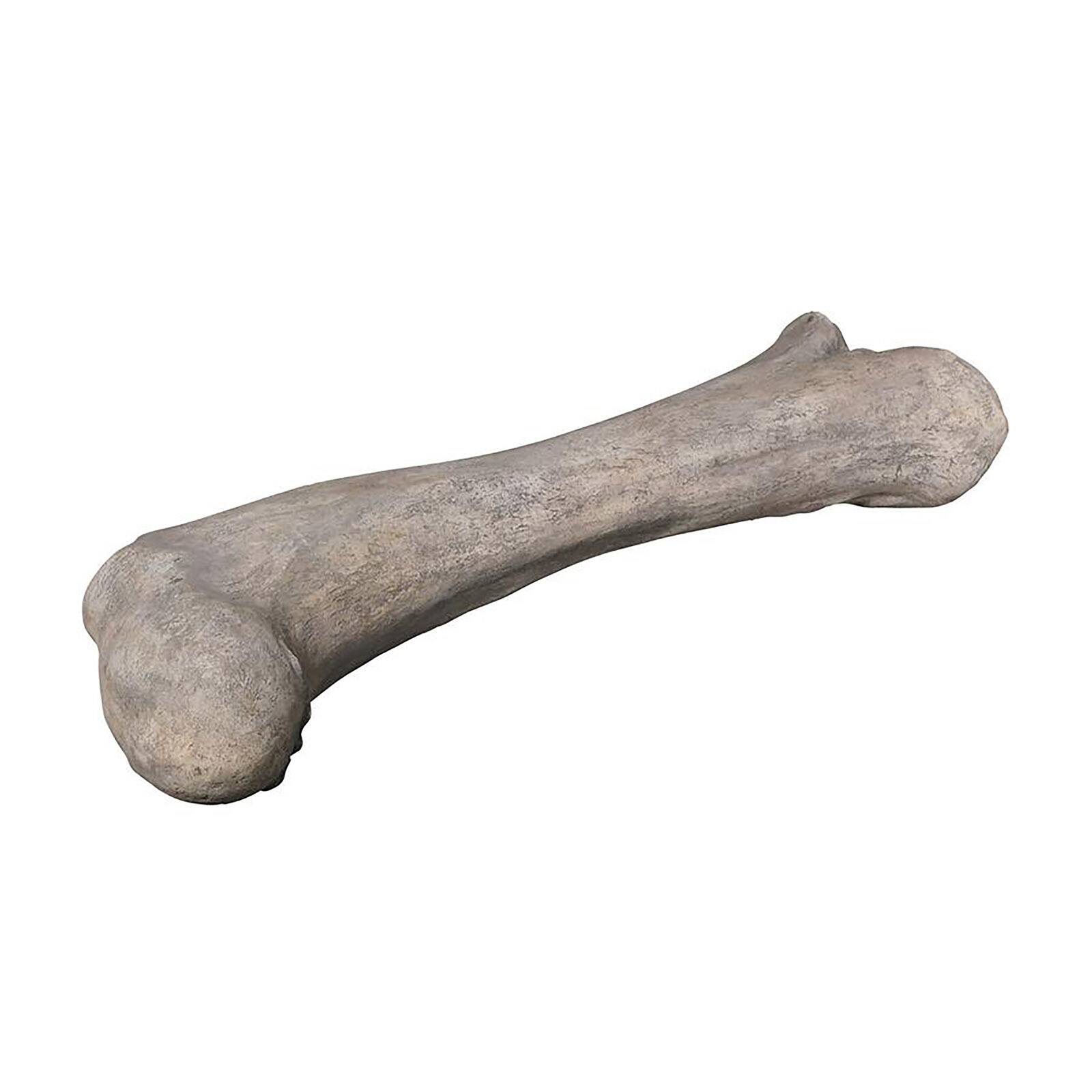 Design Toscano Apatosaurus Femur Bone Fossil Statue | Michaels