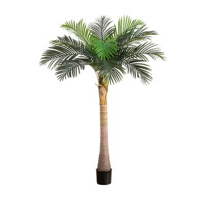 6ft. Potted Coconut Palm Tree | Michaels