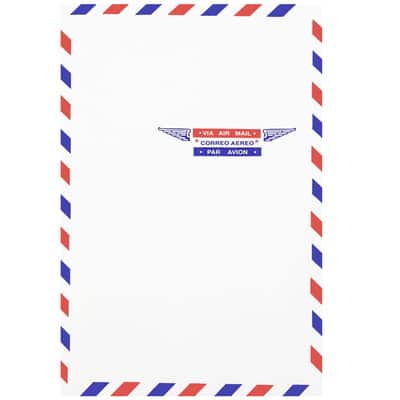 JAM Paper 6" x 9" White Open End Catalog Airmail Envelopes | Michaels