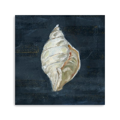 Night Shell II Canvas Giclee | Michaels