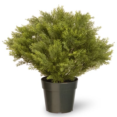 28" Globe Juniper Tree | Michaels