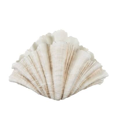 23" Cream Shell Textured Sculpture | Michaels