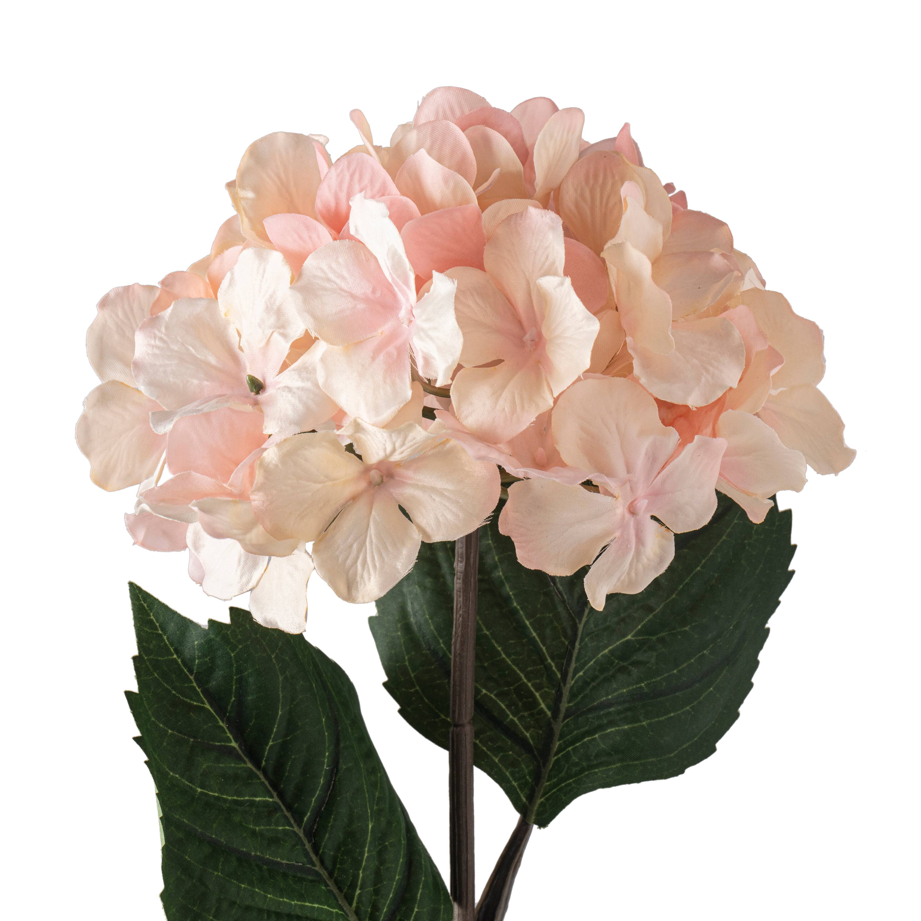 12 Pack: Peach Pink Hydrangea Stem by Ashland® | Michaels