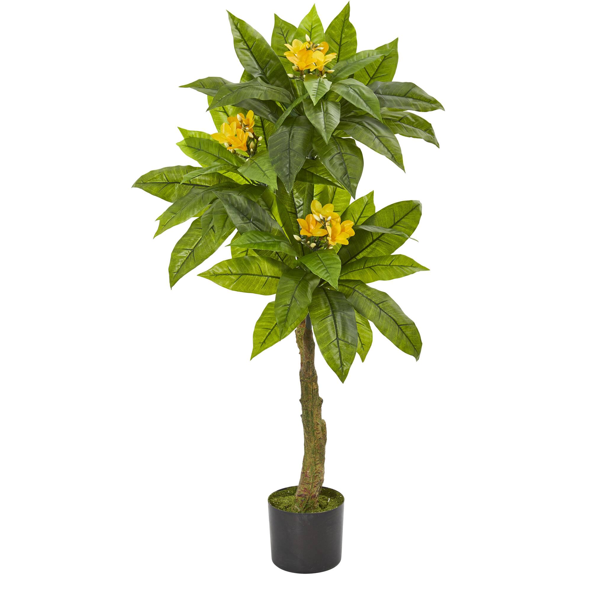 4ft. Potted Plumeria Tree | Michaels