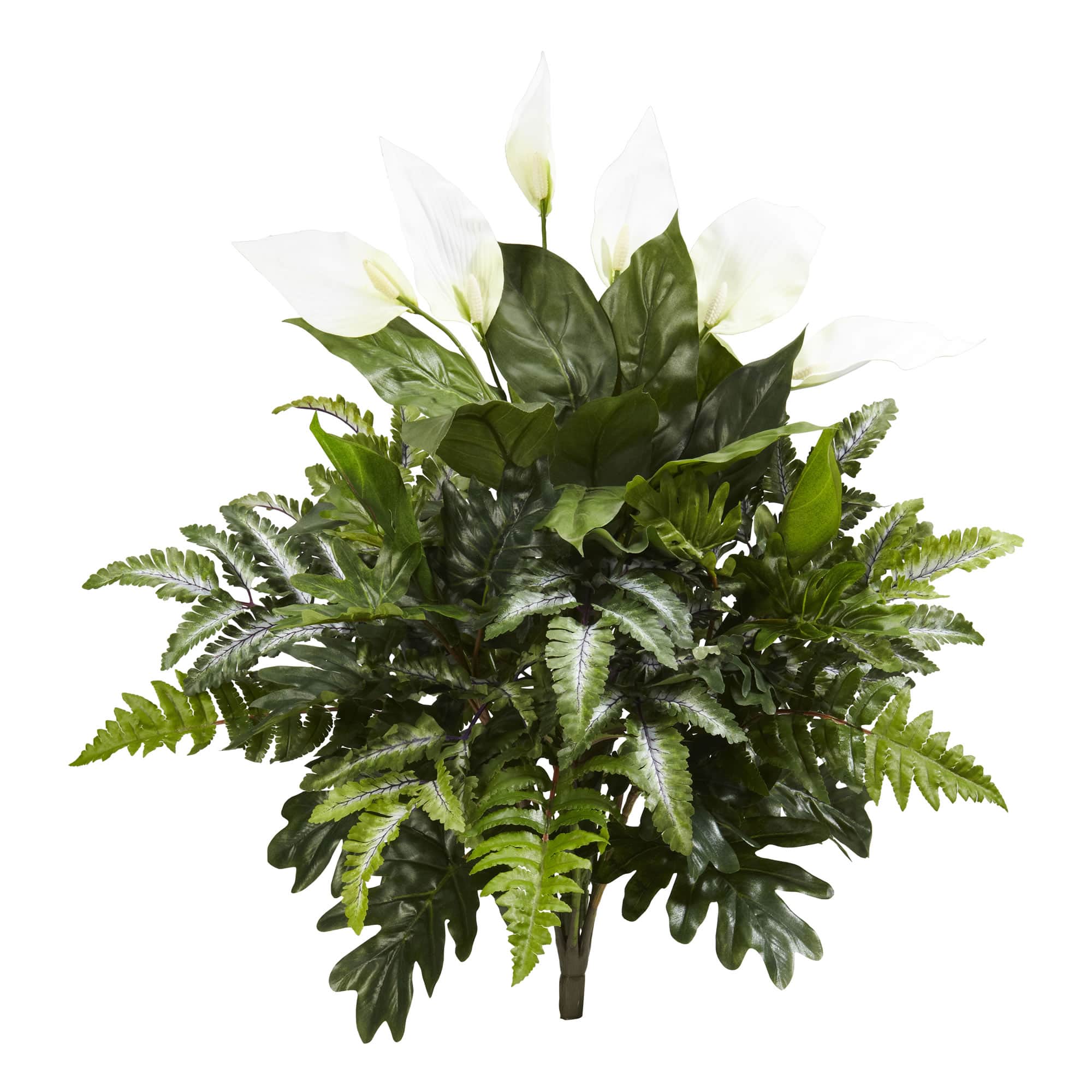Peace Lily, Philodendron, and Fern Bush, 2ct. | Michaels