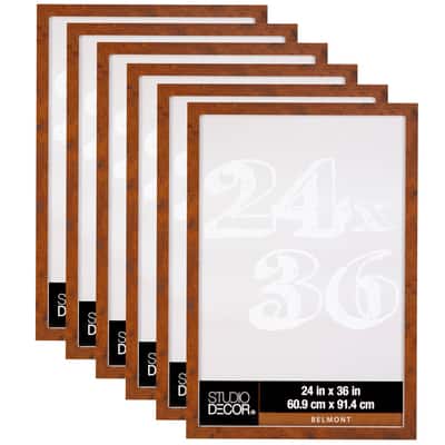 Michaels 24 X 36 Frame